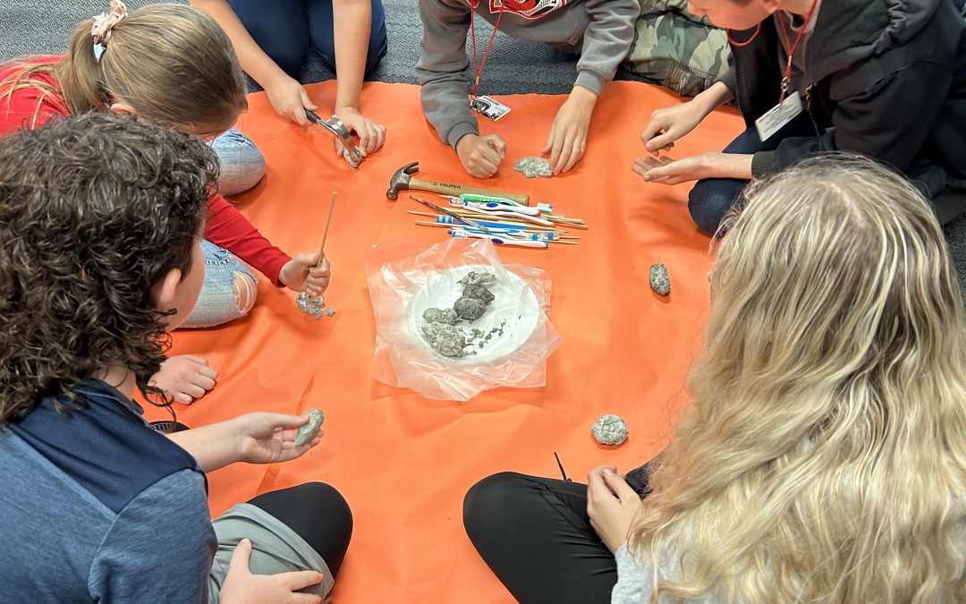 6th Grade Science Lab – fossils | Hamilton Schools District 328